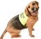 Dog Warning Vest or Message Vest | UK Made | D for Dog