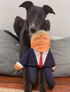 Pet Hates Toys - Donald Trump Dog Toy | US President