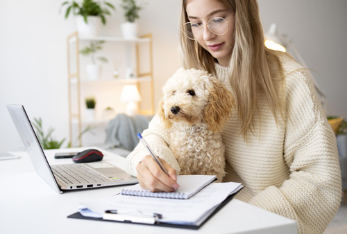 Is Pet Insurance Worth It? | A Dog Lover's Guide