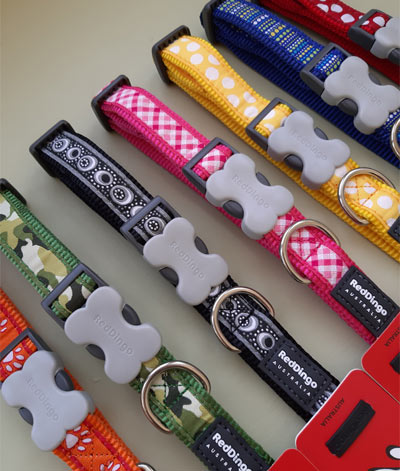 What Makes Red Dingo Special? | Dog Collars, Harnesses, Leads, Tags