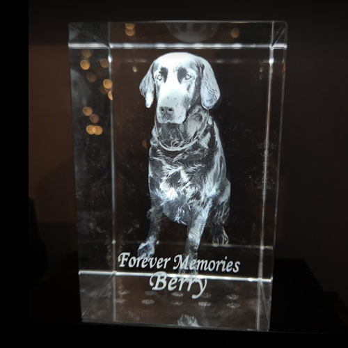 Your Photo in Crystal | 3D Photo Laser Etched Crystal