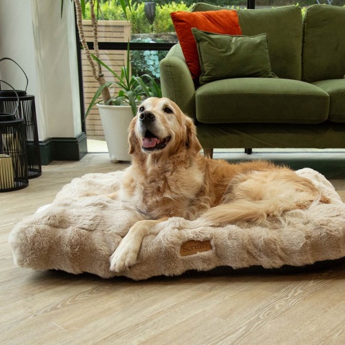 Dog Crate Mats, Cushions & Mattress Beds | UK Pet Bedding