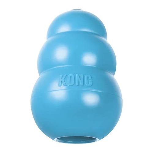 Kong toys store