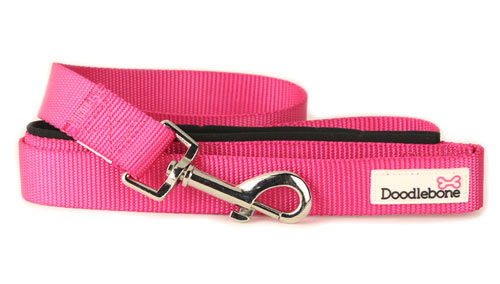 Doodlebone Bold Dog Leads with Padded Handle | D for Dog