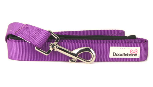 Doodlebone Bold Dog Leads with Padded Handle | D for Dog