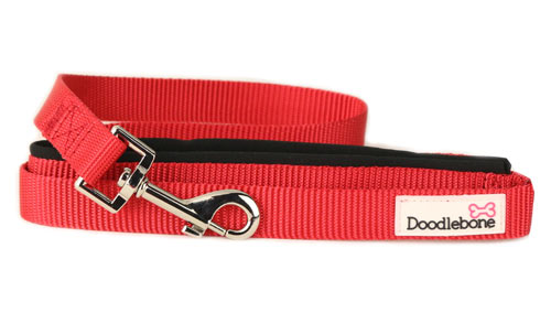 Doodlebone Bold Dog Leads with Padded Handle | D for Dog
