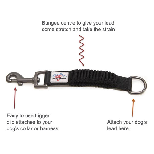 UK Dog Gifts, Products & Accessories | Online