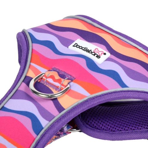 Doodlebone Harnesses, Collars & Leads | UK