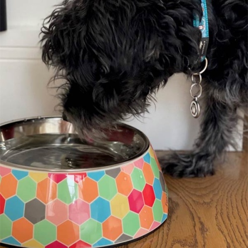 FuzzYard UK | Dog Toys & Accessories