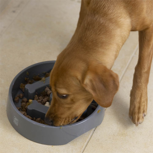 Go Slow Dog Food Bowl | Food & Water Bowl Set