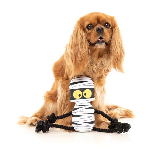 Dog Accessories & Gifts | UK-Made & Unique | D for Dog