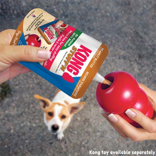 Official KONG Dog Toys & Products | UK