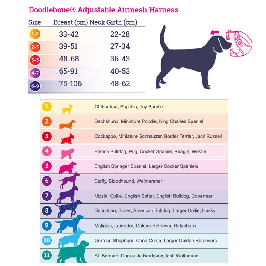 Doodlebone Adjustable Airmesh Dog Harness | UK