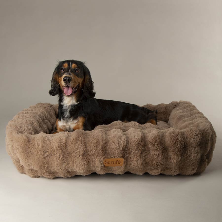 Alpine Winter Dog Bed | Luxury Thick-cut Faux Fur