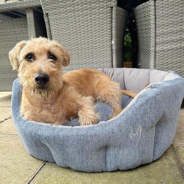 Camden Deluxe Dog Bed | Secure High Sides | D for Dog