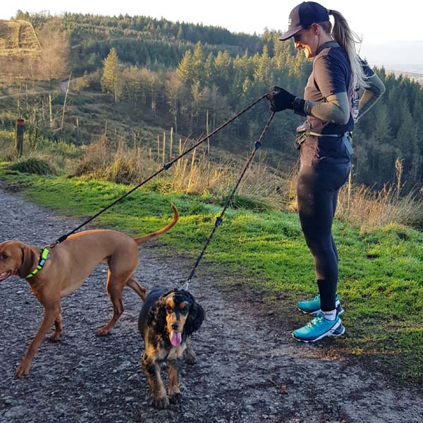 Double Ended Training Carabiner Dog Lead | UK