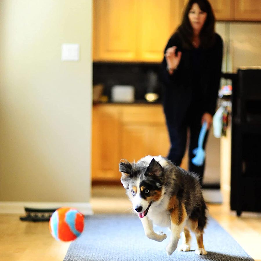 Chuckit Indoor Dog Ball For Interactive Indoor Dog Games
