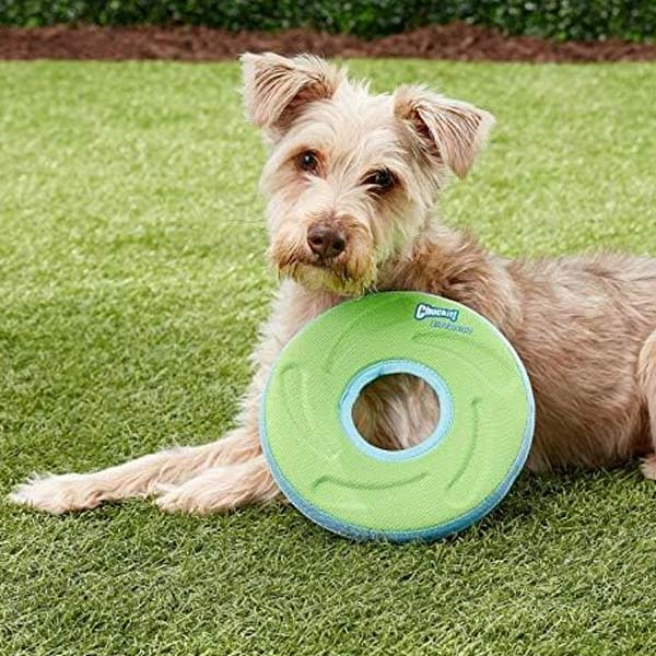 Chuckit Zipflight Floating Dog Frisbee | UK