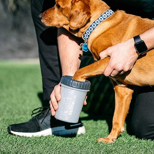 Dexas Mudbuster | The Original Dog Paw Cleaner