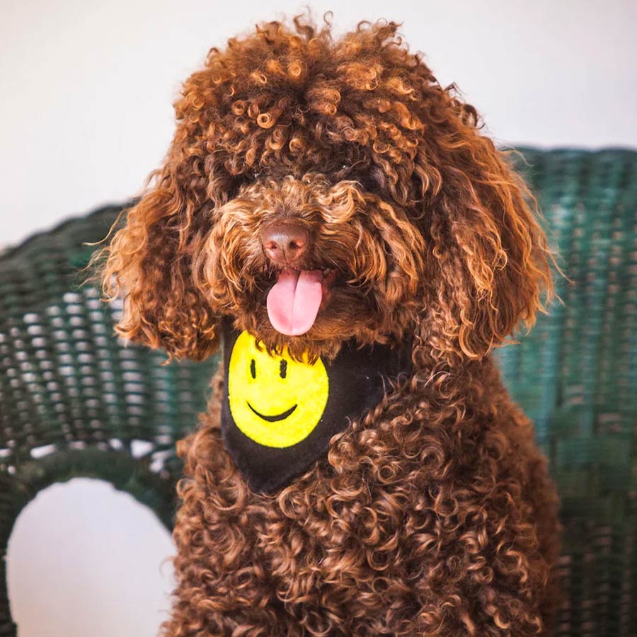 Retro Emoji Smiley Face Dog Bandana | UK Made