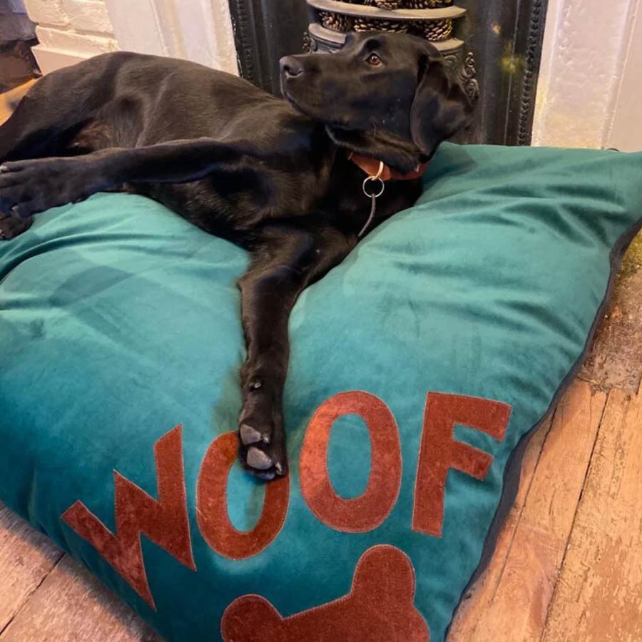 Luxury Doza Floor Cushion with Woof n Bone Design