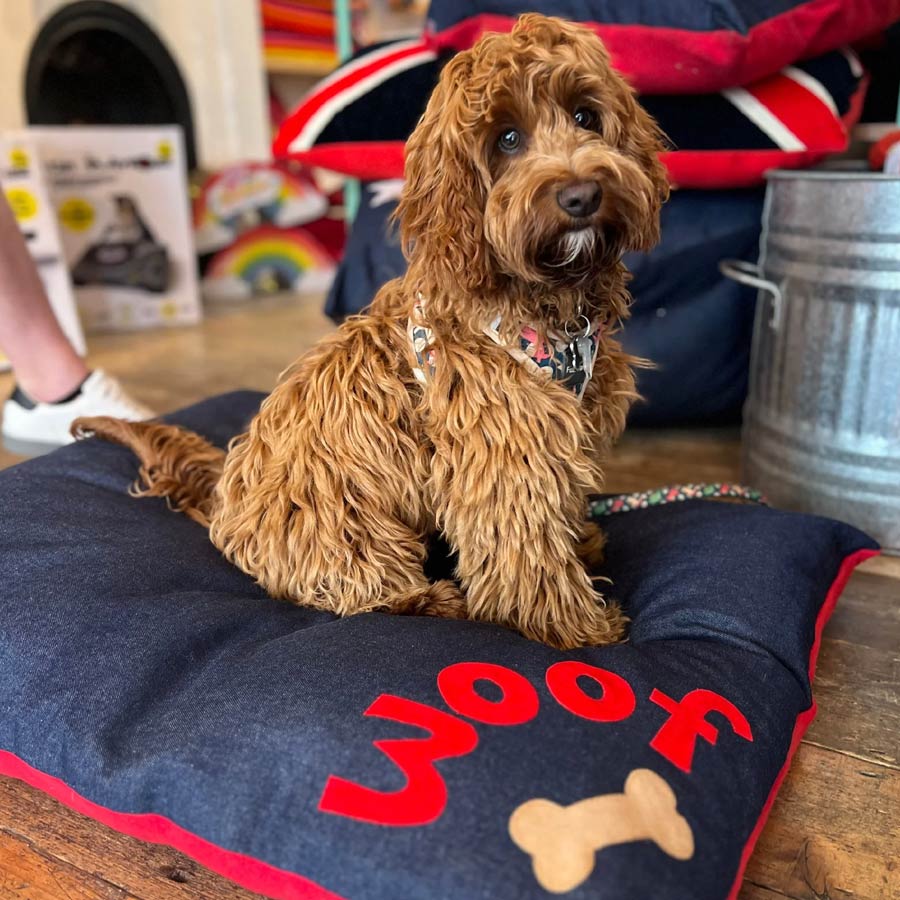 Doza Denim Dog Bed Cushion | Woof n Bone | UK