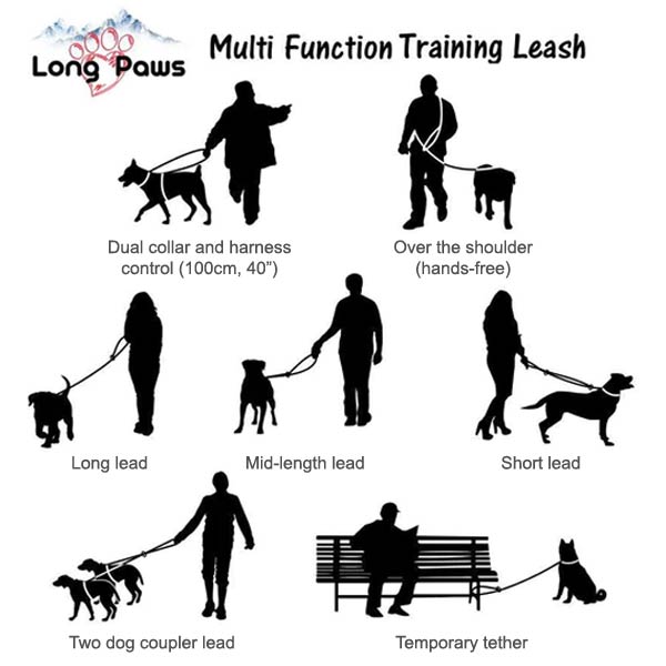 Secure Carabiner Multi-function Lead | Double Ended