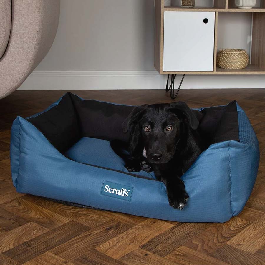 Scruffs "Expedition" Waterproof Box Bed | UK