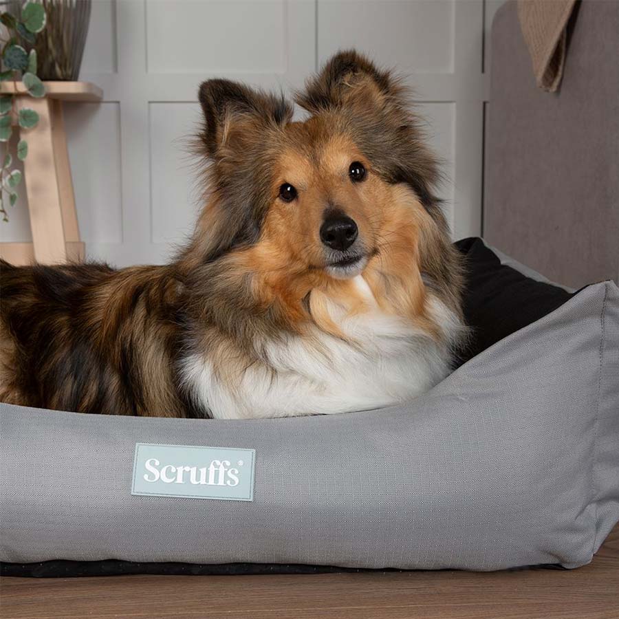 Scruffs "Expedition" Waterproof Box Bed | UK