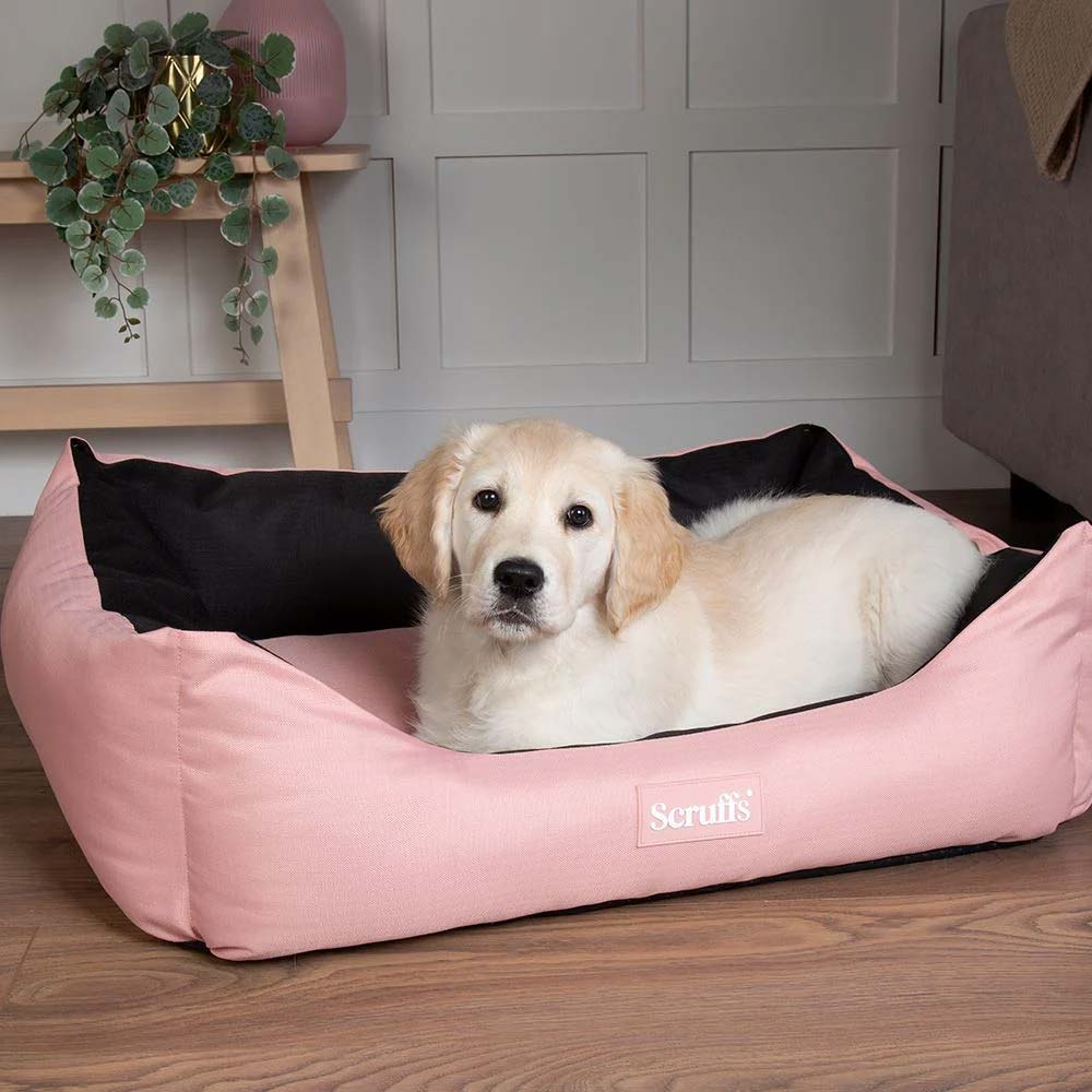 Scruffs "Expedition" Waterproof Box Bed | UK
