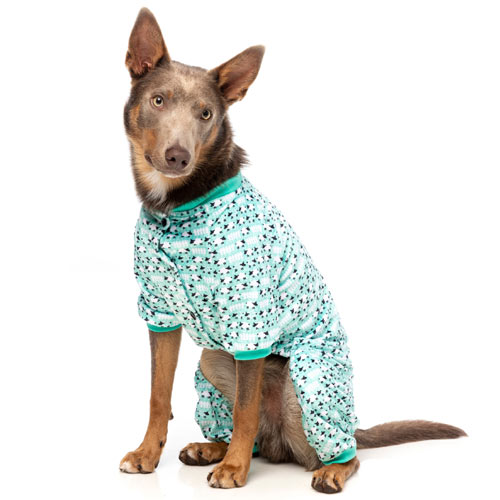 Dog Pyjamas for Chilly Evenings | Dog Onesie