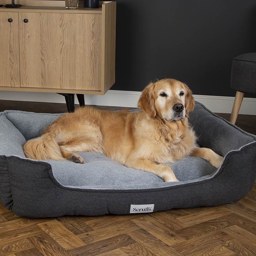 Harvard Large Dog Memory Foam Bed | UK
