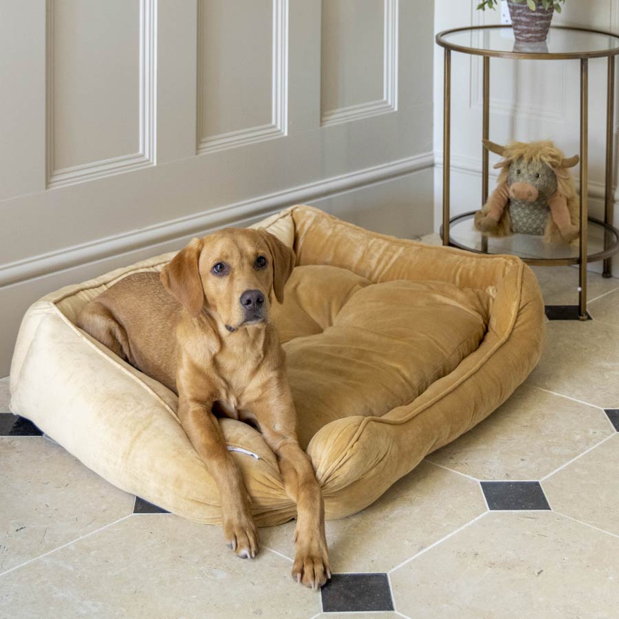 Velvet Dog Beds | Blue, Grey or Mustard Velvet