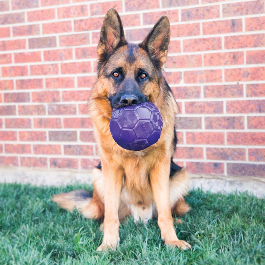KONG Flexball | Large Hollow Soft Dog Ball