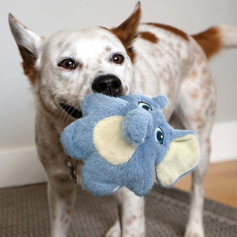 KONG Snuzzles Plush Dog Toy | Bear, Bunny, Koala