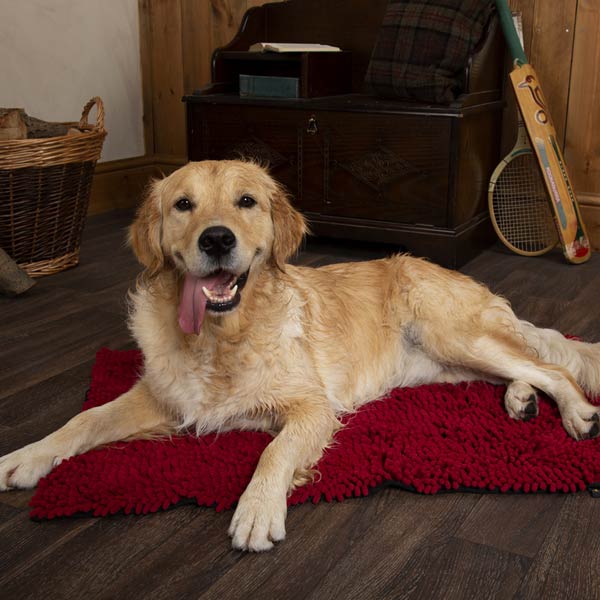 Scruffs Noodle Pet Mat | Dog Drying | D for Dog