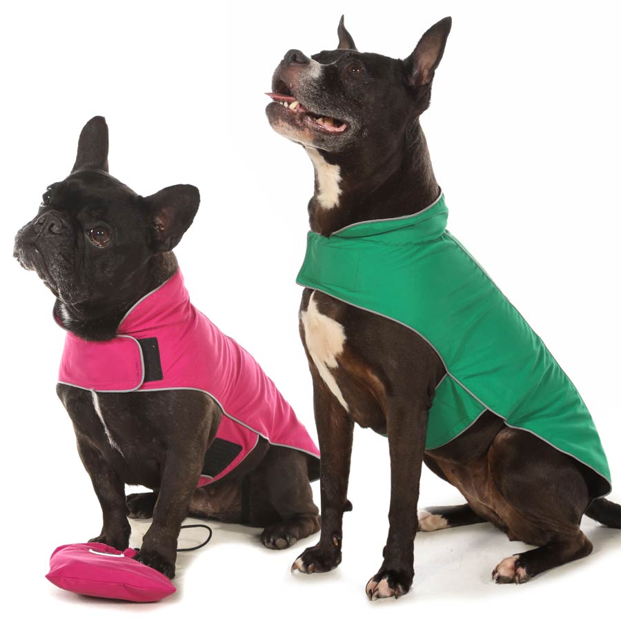 Doodlebone Mac-in-a-Pack Dog Raincoat | UK