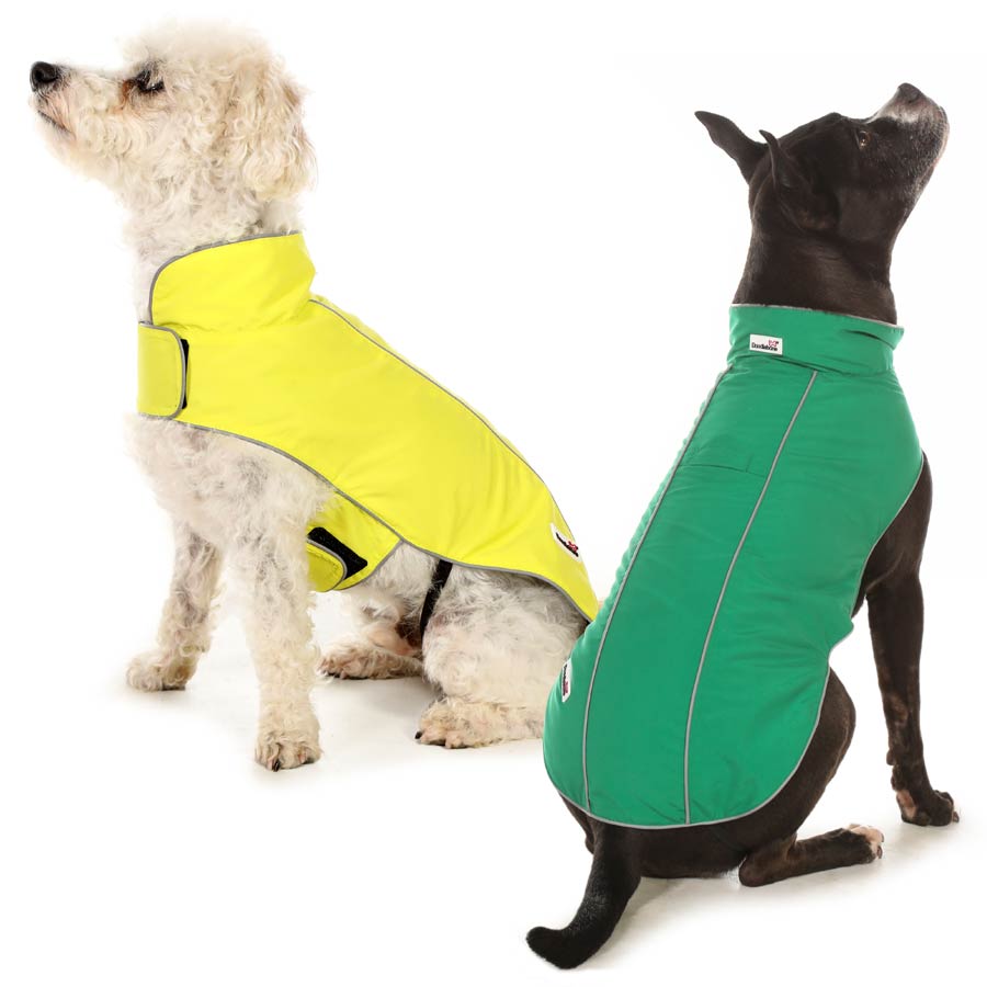 Doodlebone Mac-in-a-Pack Dog Raincoat | UK