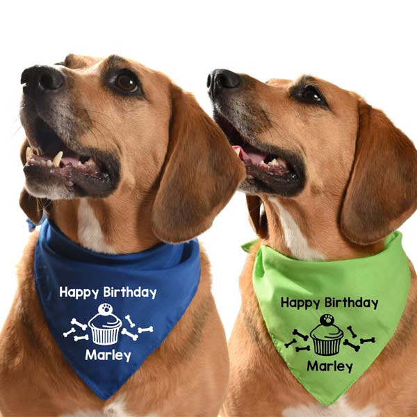 Personalised Dog Birthday Bandana | Happy Birthday