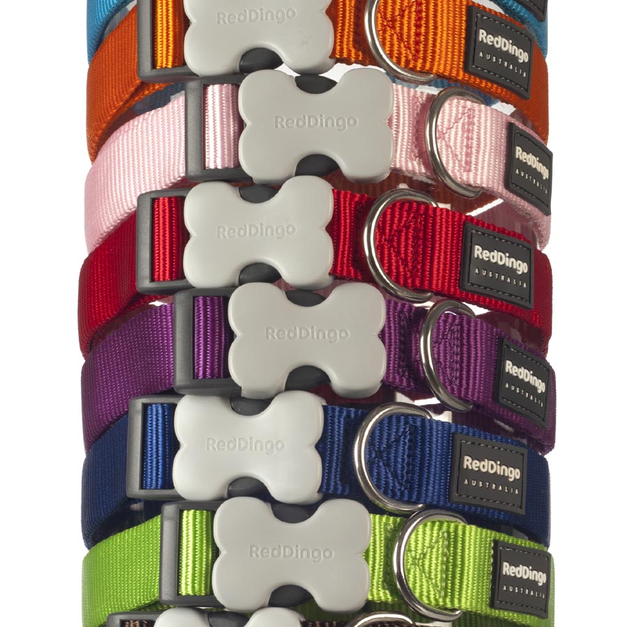 Red Dingo Lime Green Dog Collar | Tough Nylon