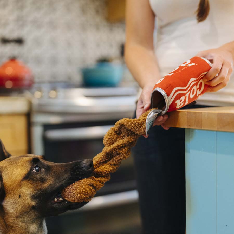 Good Boy Cola Dog Toy | Snack Attack by P.L.A.Y