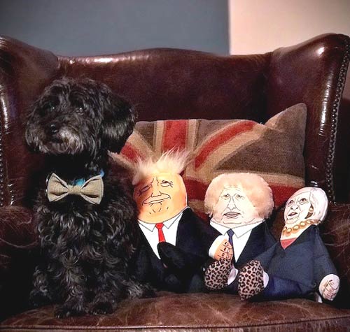 Pet Hates Toys - Donald Trump Dog Toy | US President