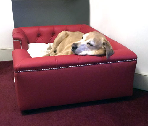 Luxury Sandringham Red Real Leather Dog Bed | UK