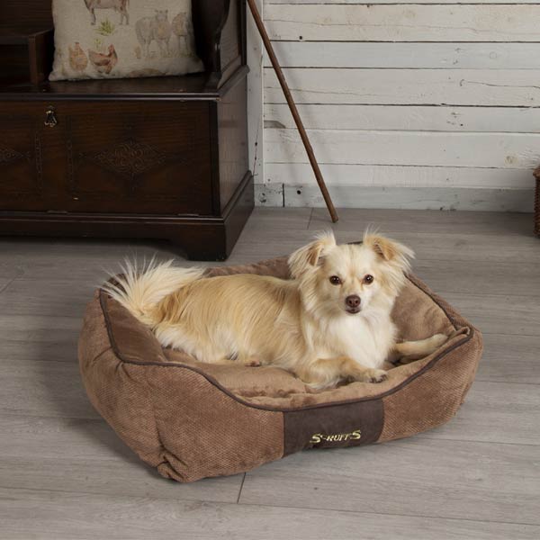 Scruffs Chester Dog Bed | Chenille Fabric