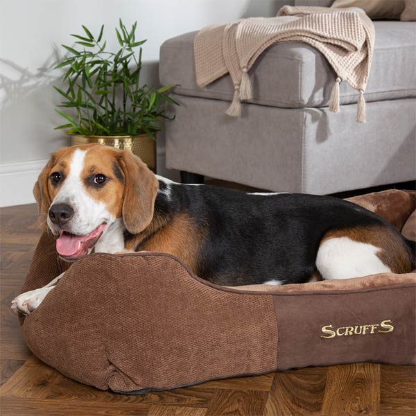 Scruffs Chester Dog Bed | Chenille Fabric