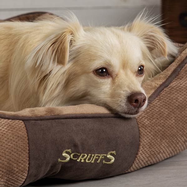 Scruffs Chester Dog Bed | Chenille Fabric