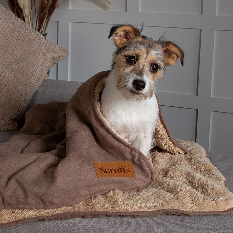Scruffs Snuggle Dog Blanket | Soft Plush | UK