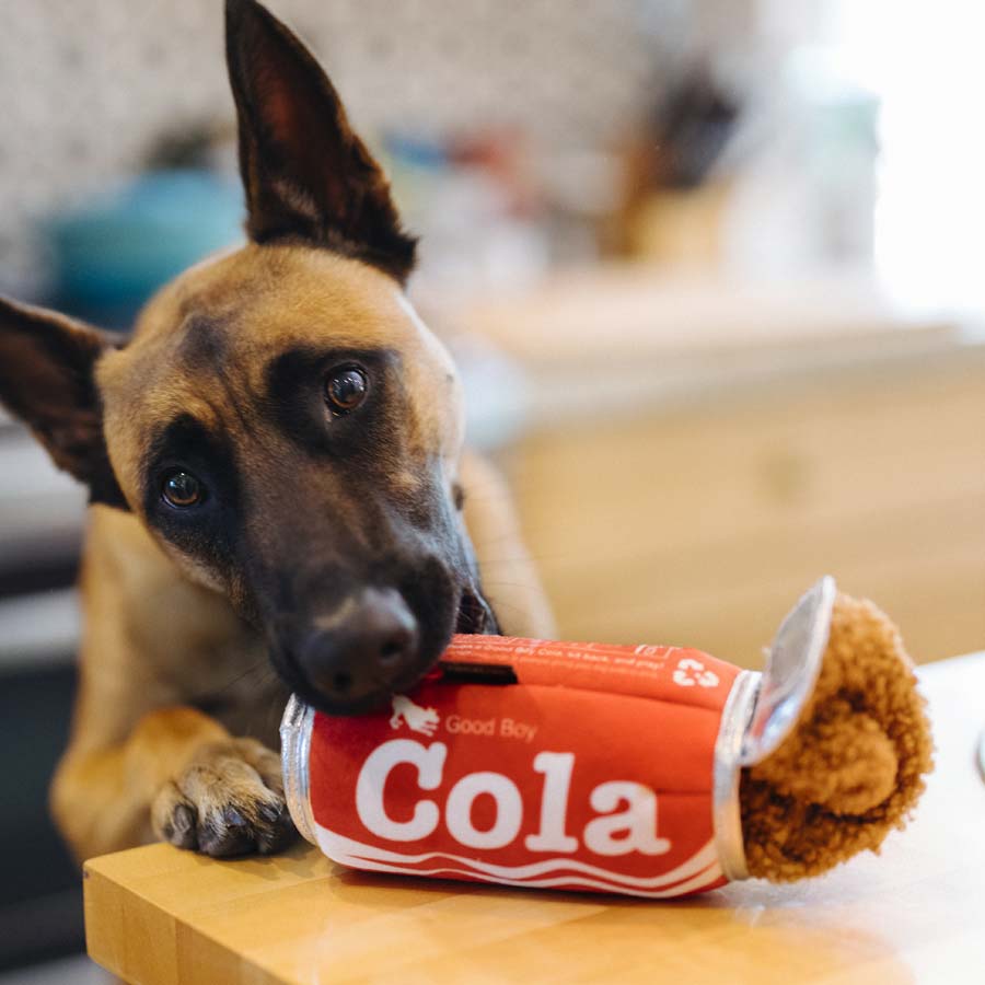 Good Boy Cola Dog Toy | Snack Attack by P.L.A.Y