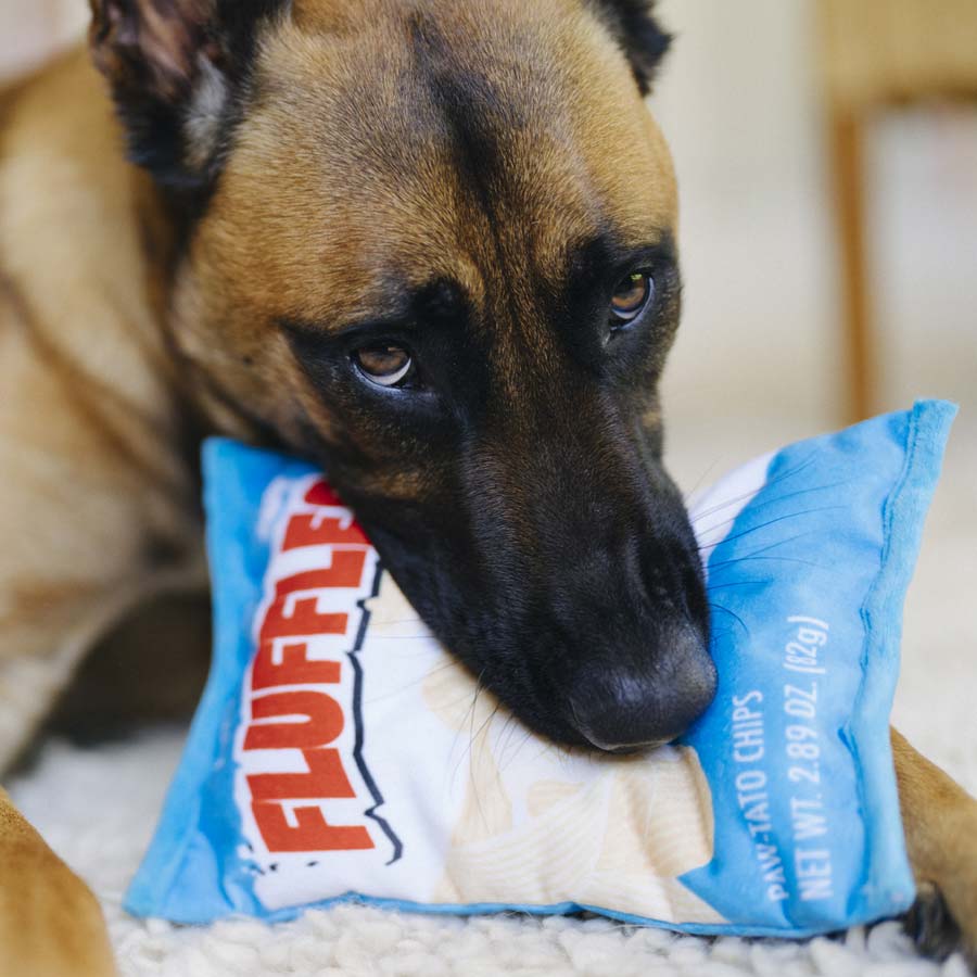 Fluffles Bag of Crisps Dog Toy | P.L.A.Y