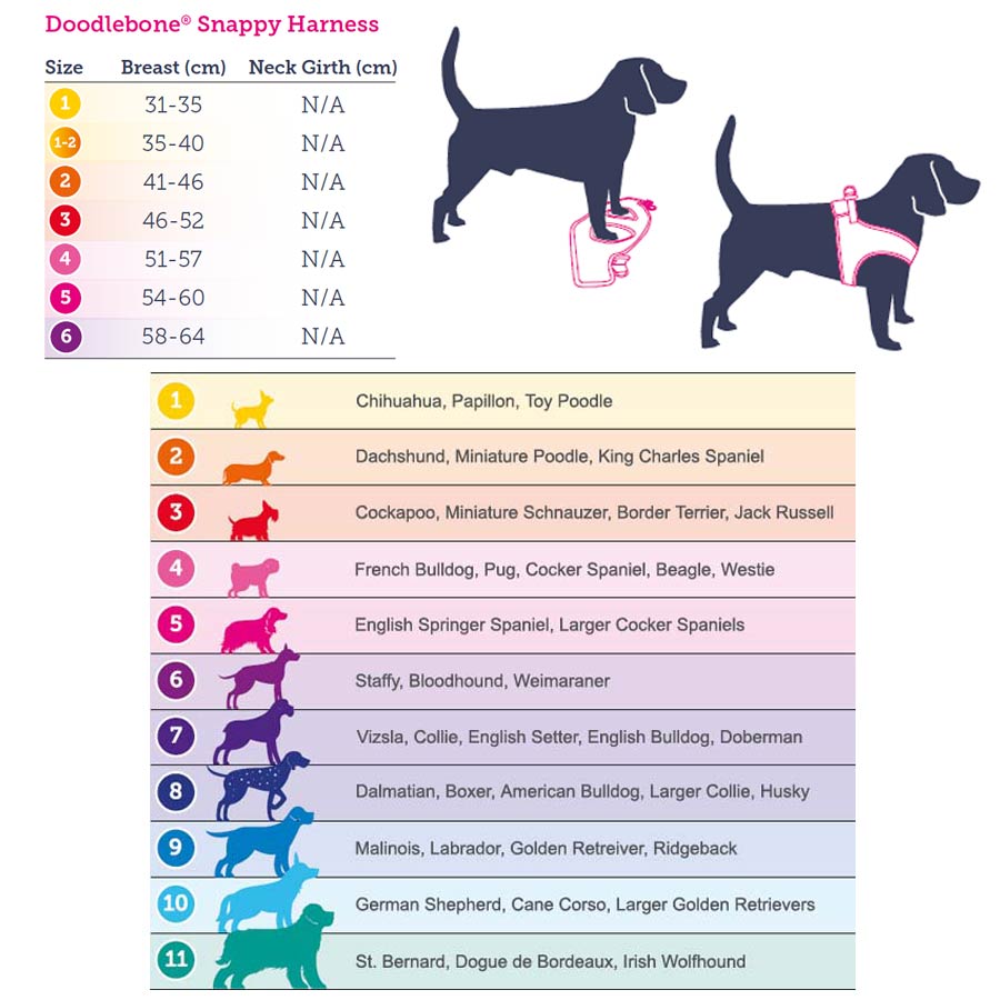 Doodlebone Originals Snappy Dog Harness | UK